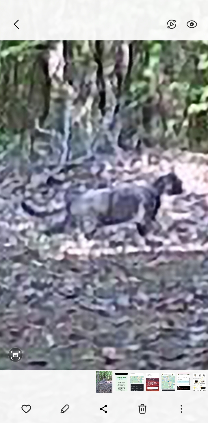 Nature-Spy.com TV Nature-Spy.com - Explore and Share the Beauty of ...